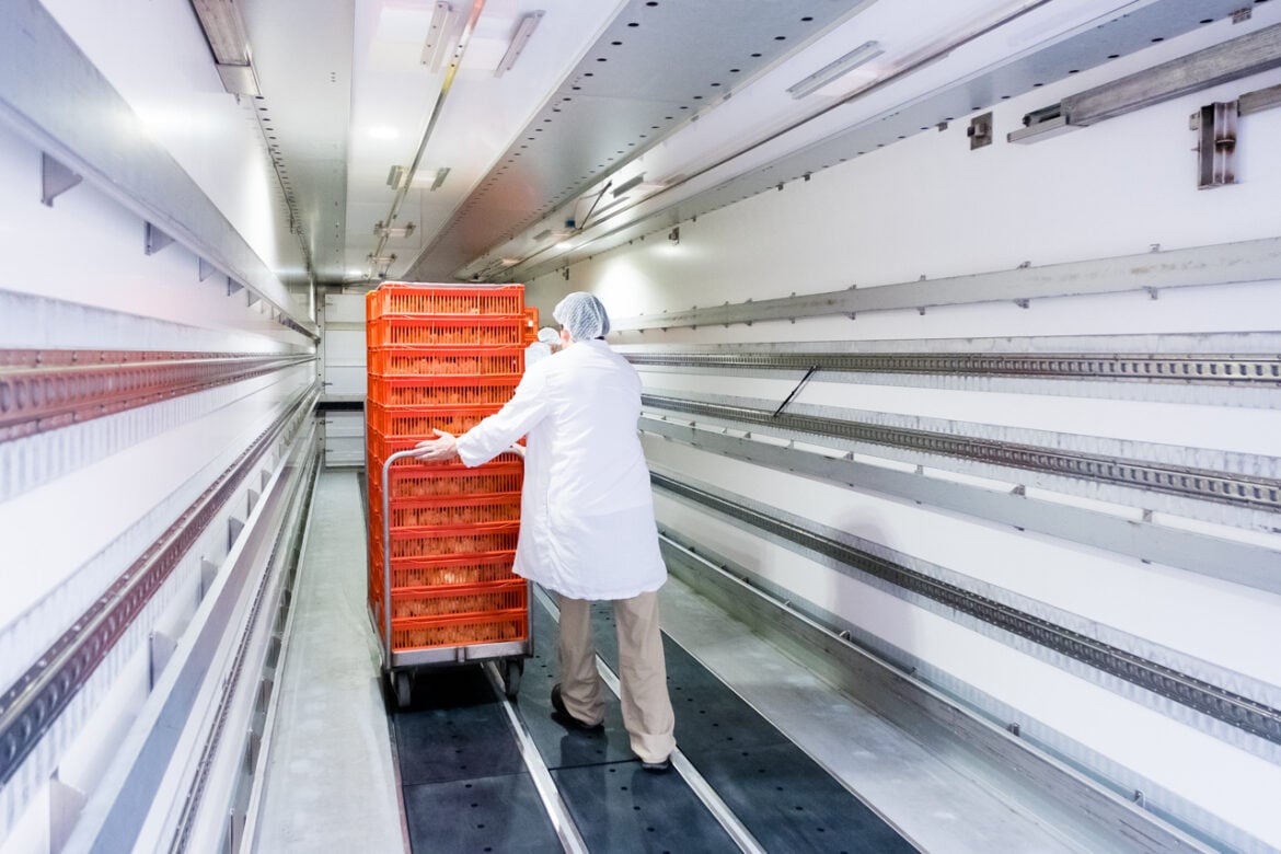 The Vital Role of Airflow, Hygiene and Disinfection in day-old chick ...