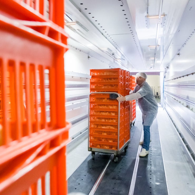 Specialized Chick Trucks and Trailers for Chick Transport - HEERING