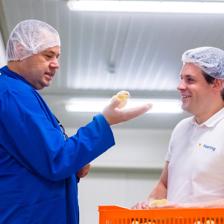 Specialized Chick Trucks and Trailers for Chick Transport - HEERING