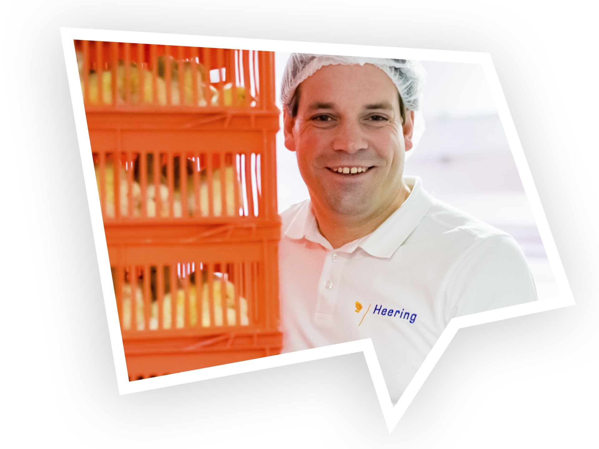 Referencies Archive - Heering | For the Best Quality of Chicks upon Arrival